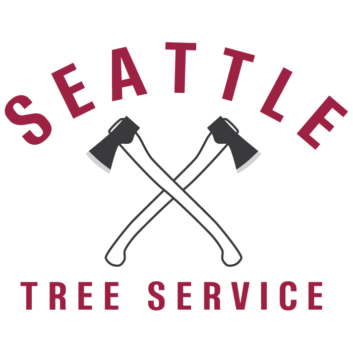 Mountlake Terrace | Seattle Tree Service